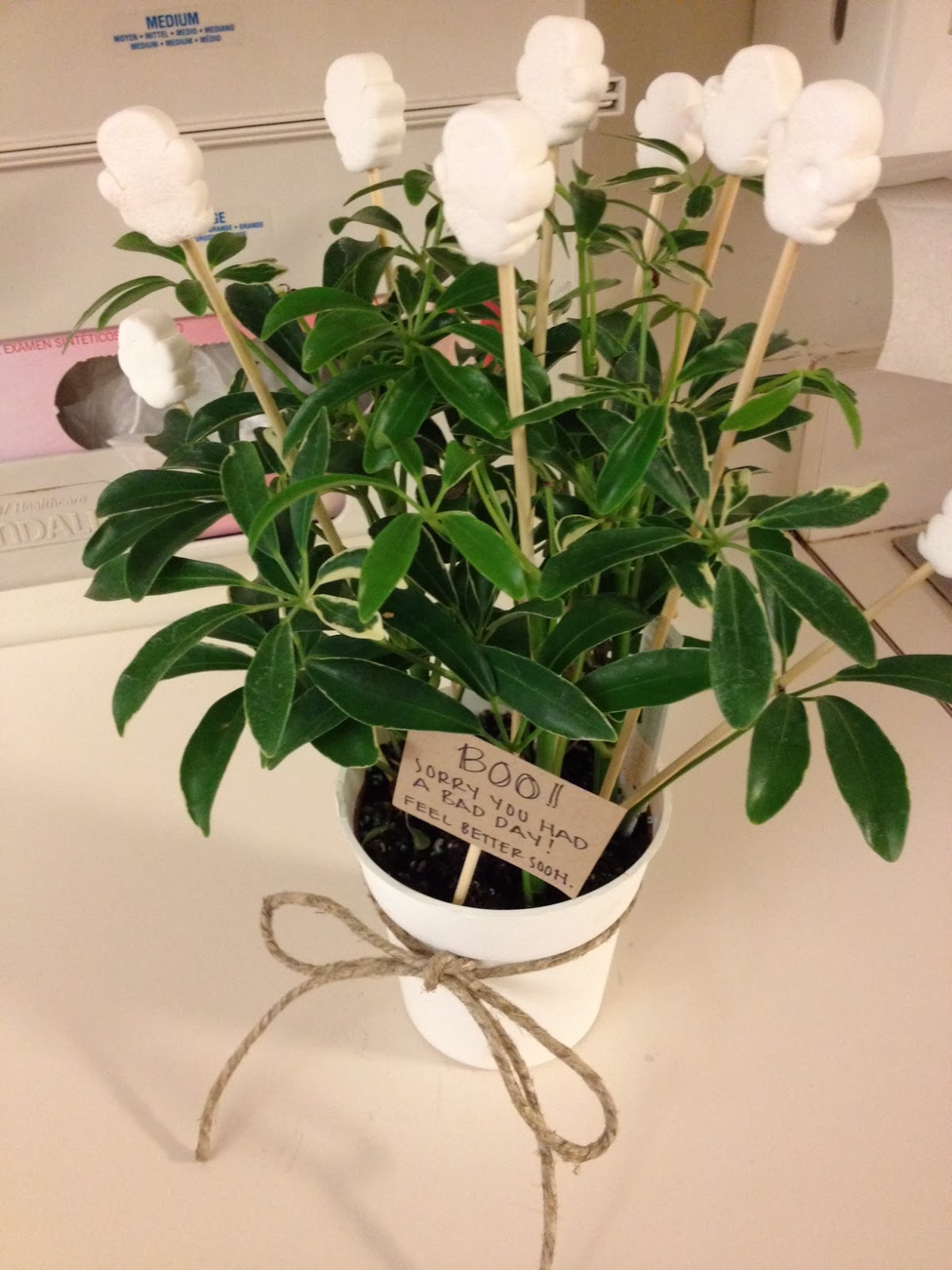 Sewing Barefoot: get well "boo-quet"