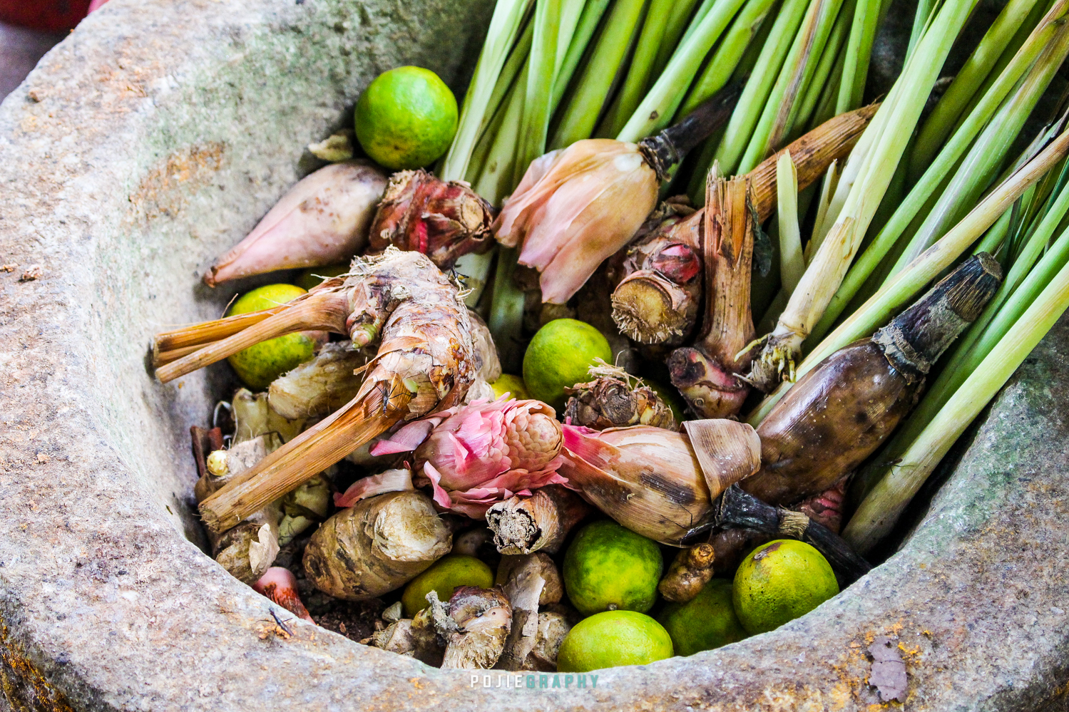 Pelajari Sejarah Berbagai Jenis Rempah Ratus di Tropical Spice Garden ...