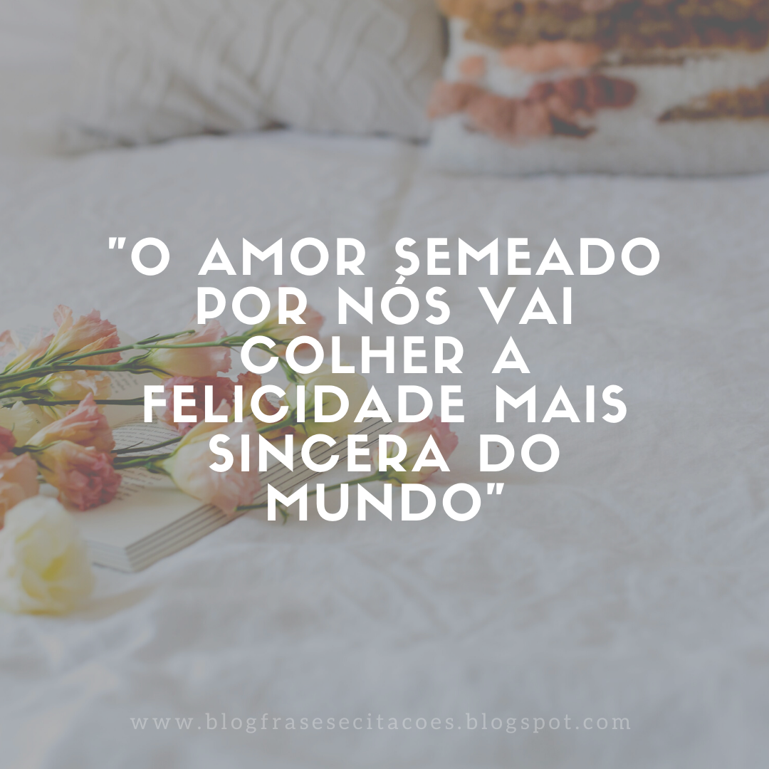 47 Frases Curtas De Amor Parte 1 Românticas Para O Namorado Ou