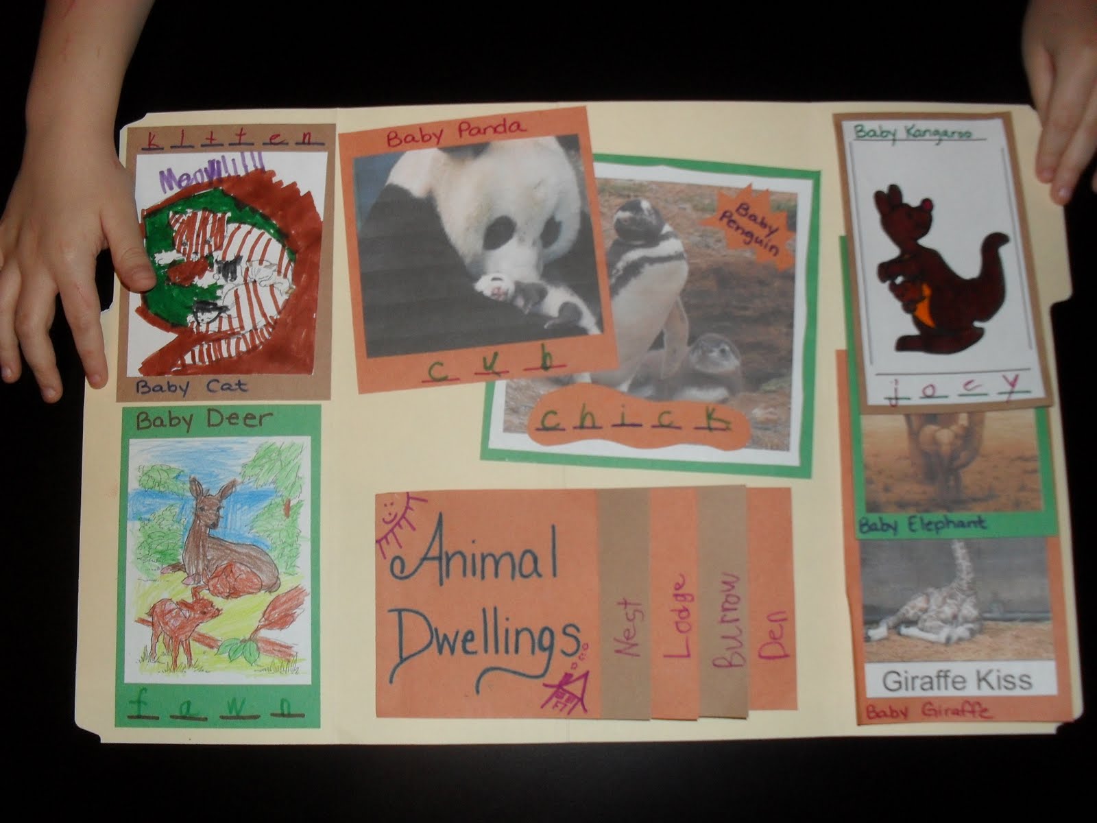 My Lapbooky Things: Easy Peasy! Our First Lapbook