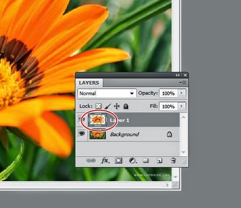 Tutorial Photoshop Efek Color Splash Hitam Putih | Psd48
