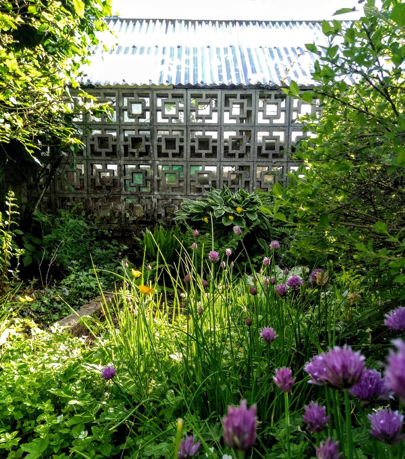 National Garden Scheme opening 1st and 2nd June 2019