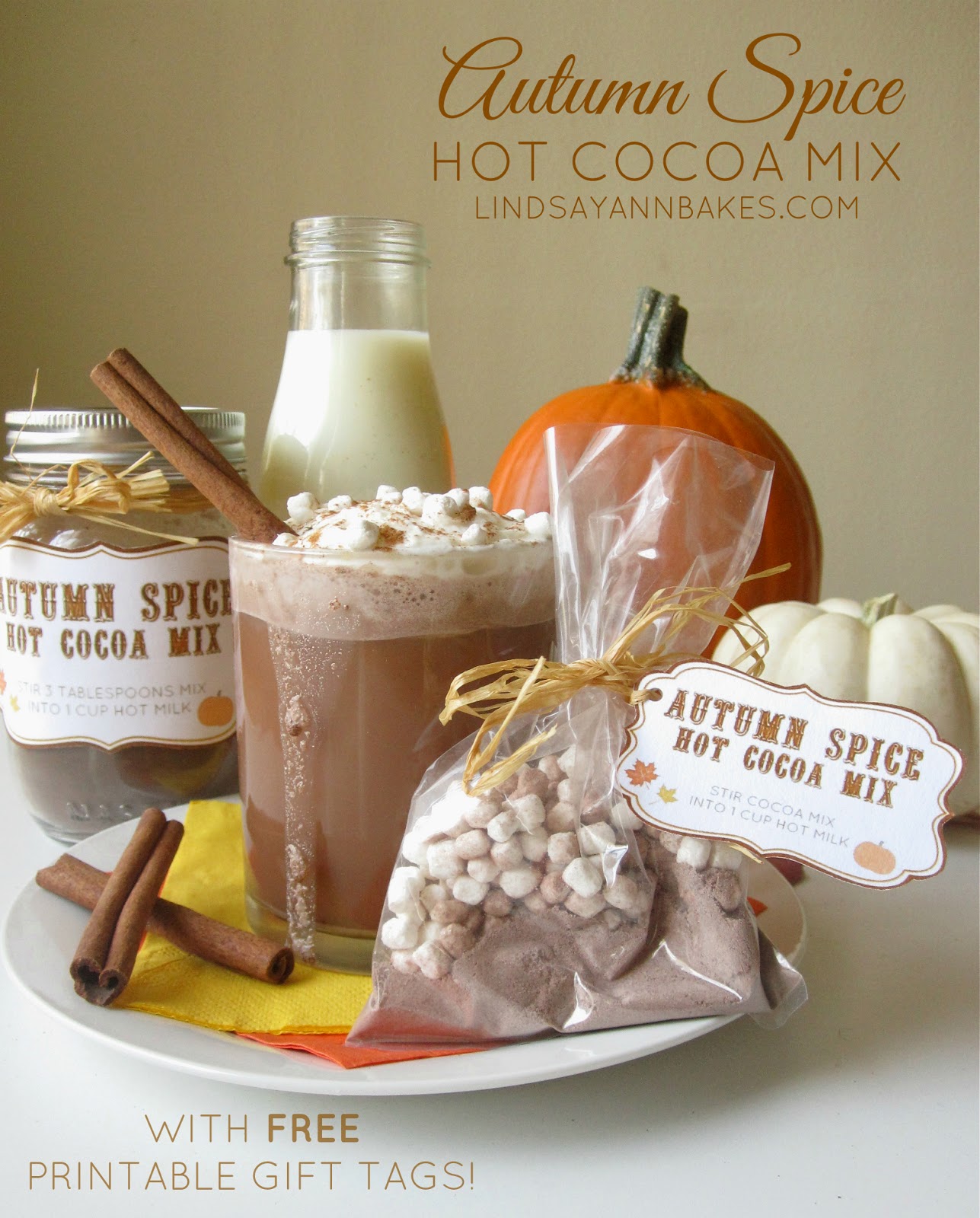 Autumn Spice Hot Cocoa Mix (With Free Printable Gift Tag) - The Lindsay Ann