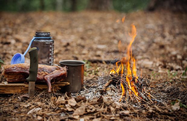 Pengertian Dasar Survival