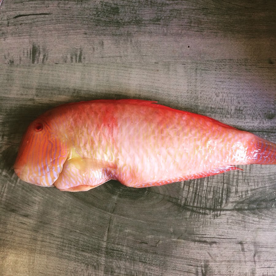 PEZ LORITO (O RAOR) CON GUISANTES LÁGRIMA | Cocina