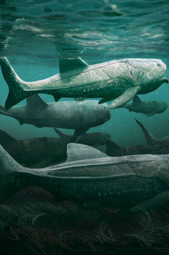 Titanichthys: the earliest known giant suspension feeder