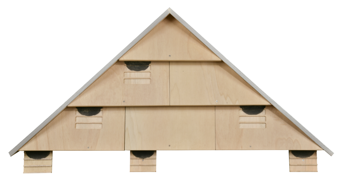 Action for Swifts: Peak Boxes