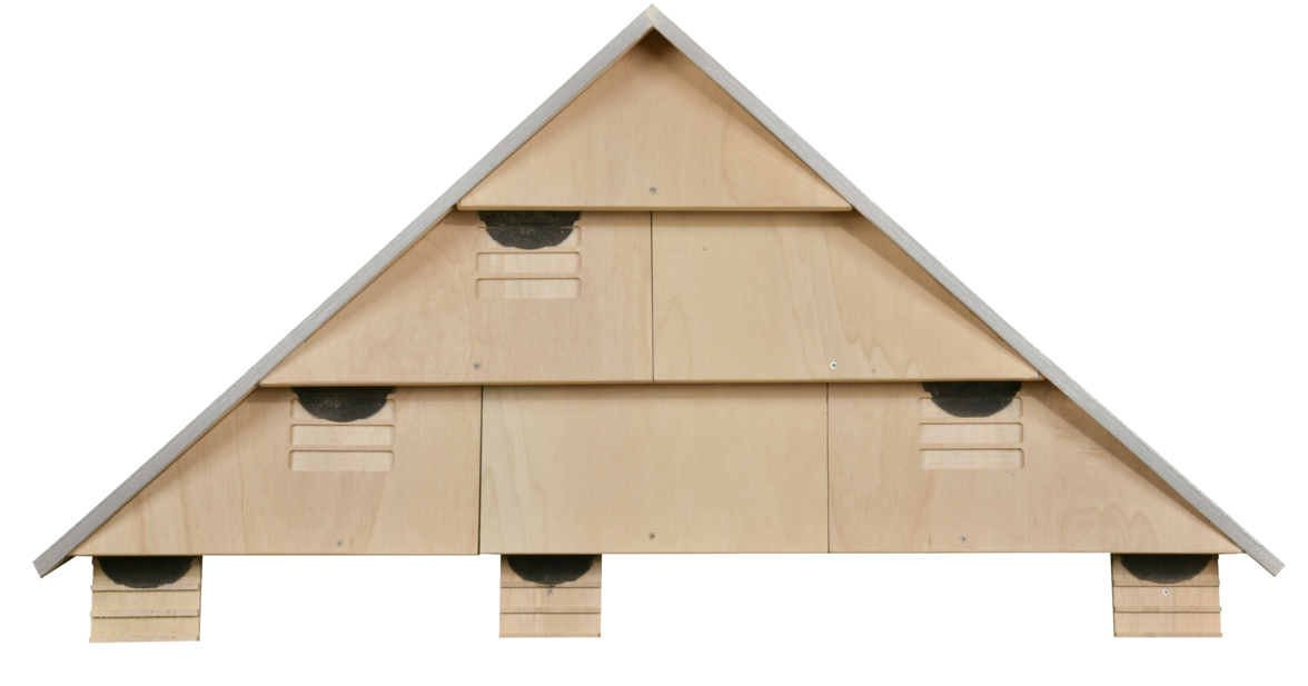 Action for Swifts: Peak Boxes