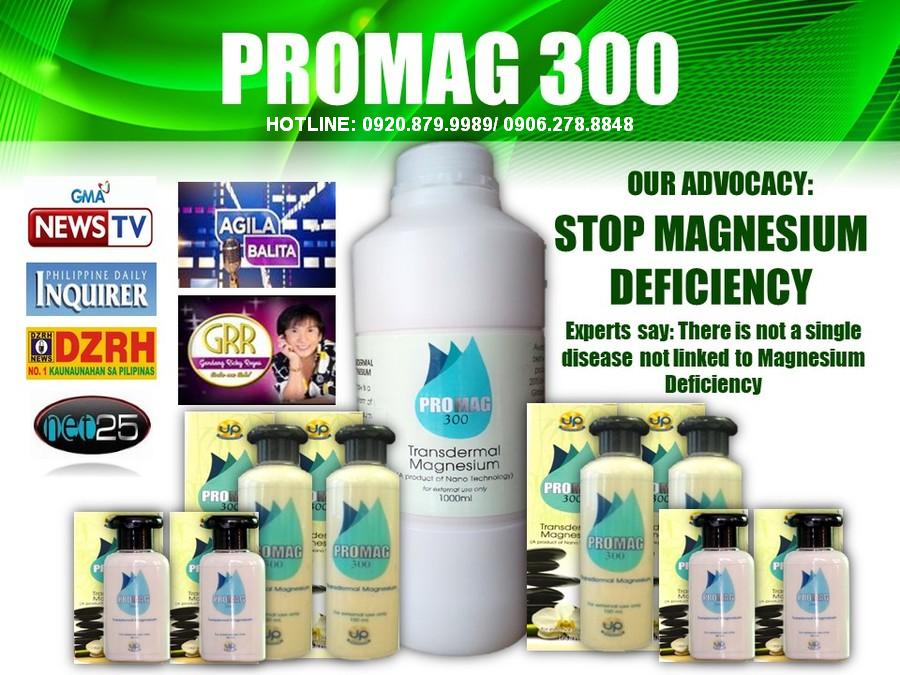 Promag 300 Distributor