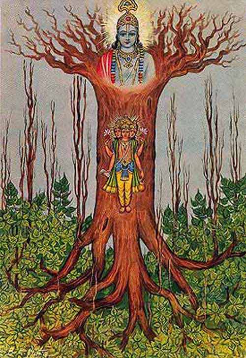 Symbolism of the Inverted Tree in Hinduism - Upside Down - Inverted ...