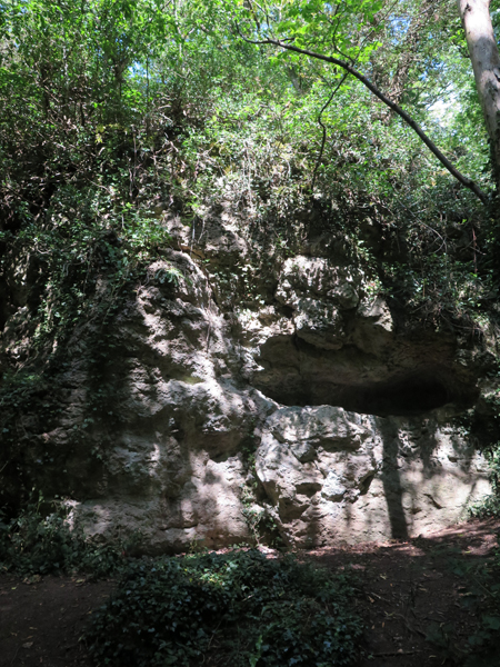 The Language of Stone: Geology in Anston Stones Wood - Part 3