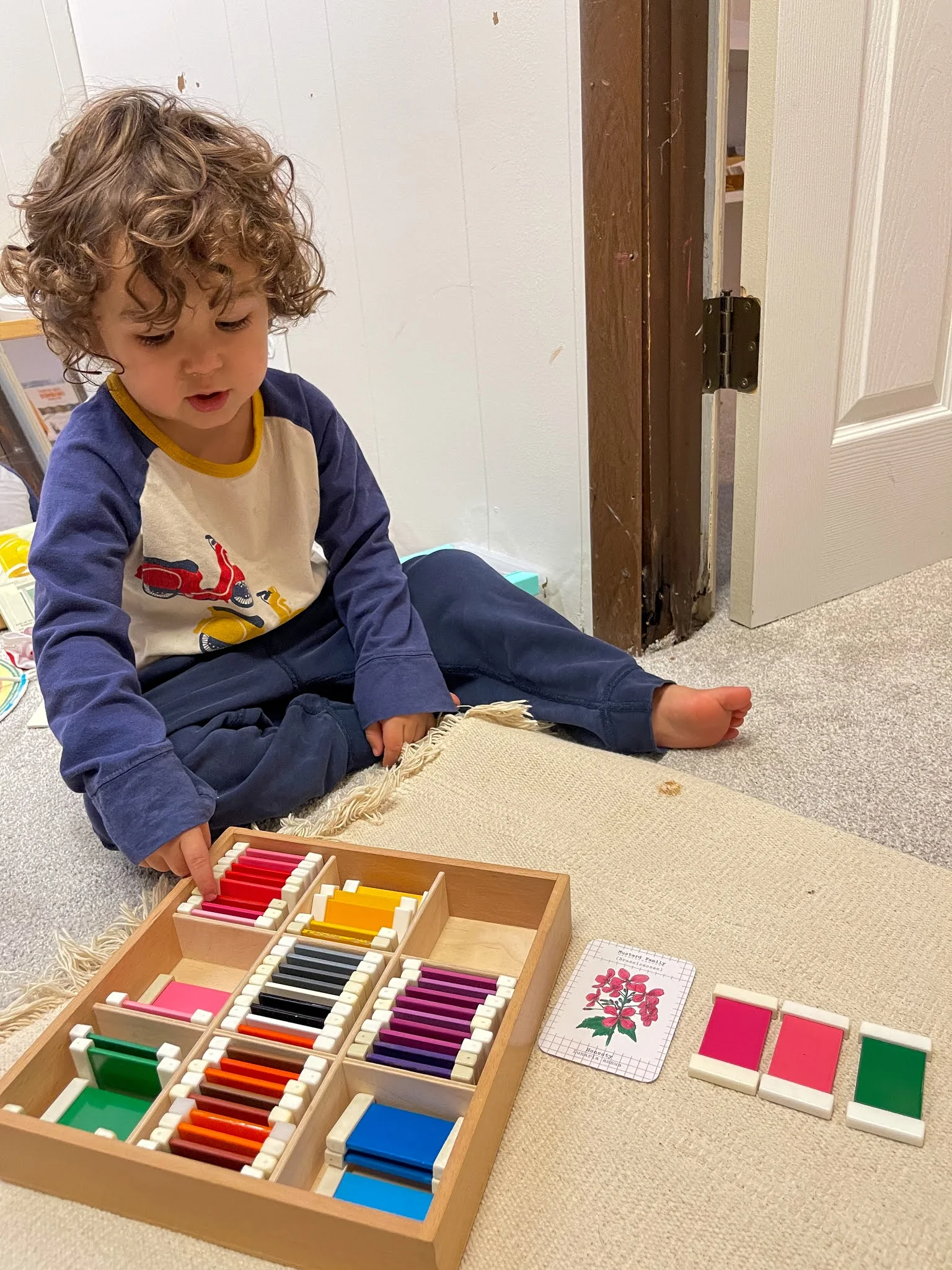 Color Exploration in the Preschool Years