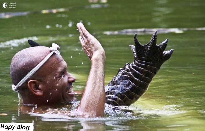 Unusual friend - a crocodile Pocho (photos + video)Happy Blog