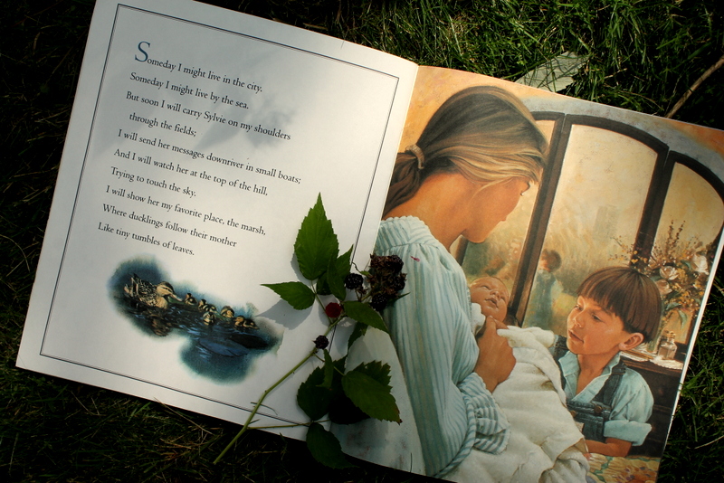 Books and Umbrellas: All the Places to Love by Patricia Maclachlan ...