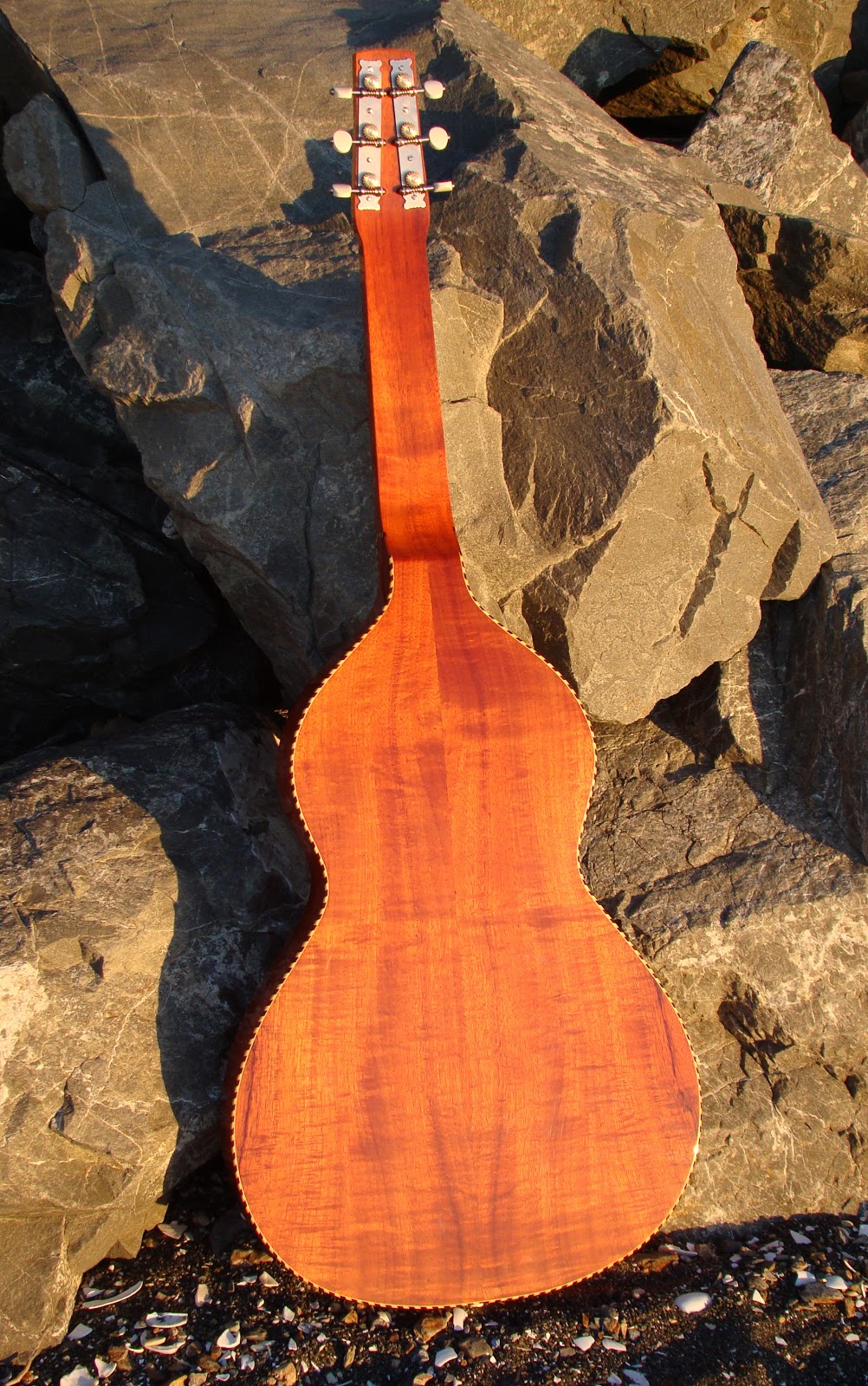 Tony Francis Instruments: Solid-neck model