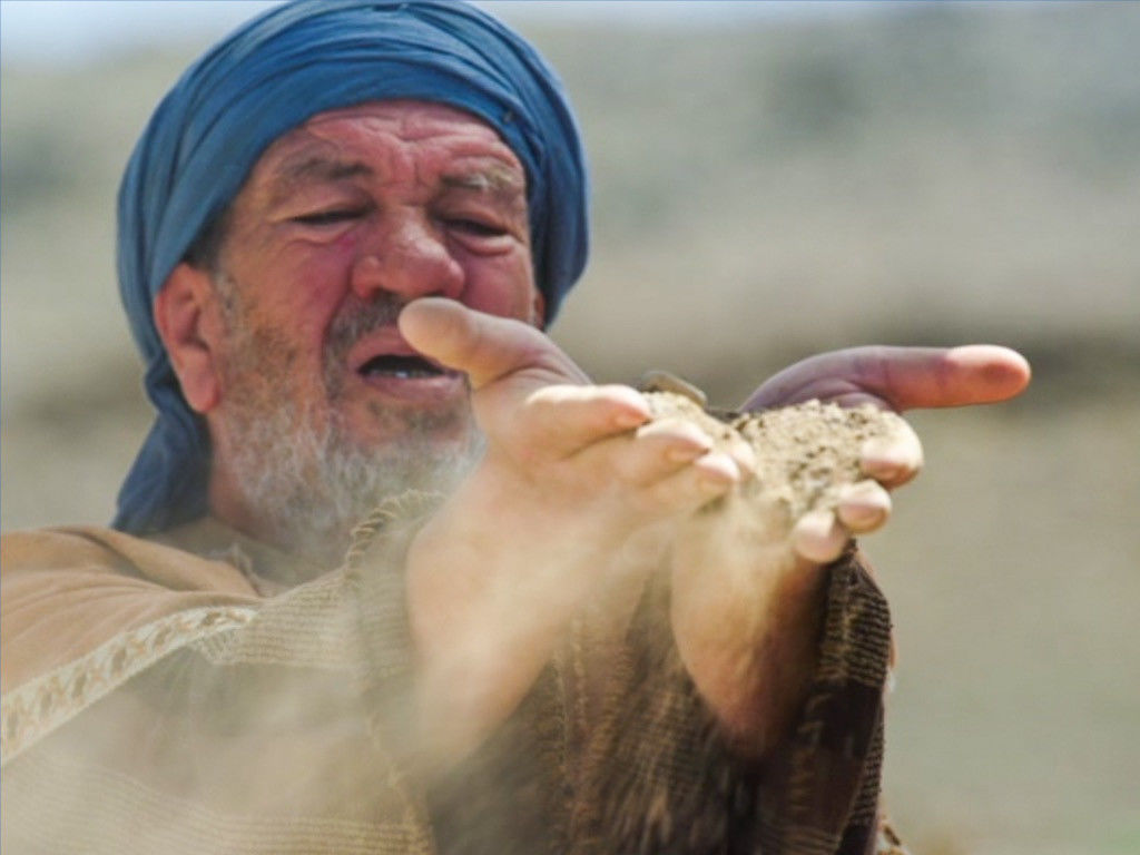 O rico insensato (Lc 12, 13-21) - Catequese e Família