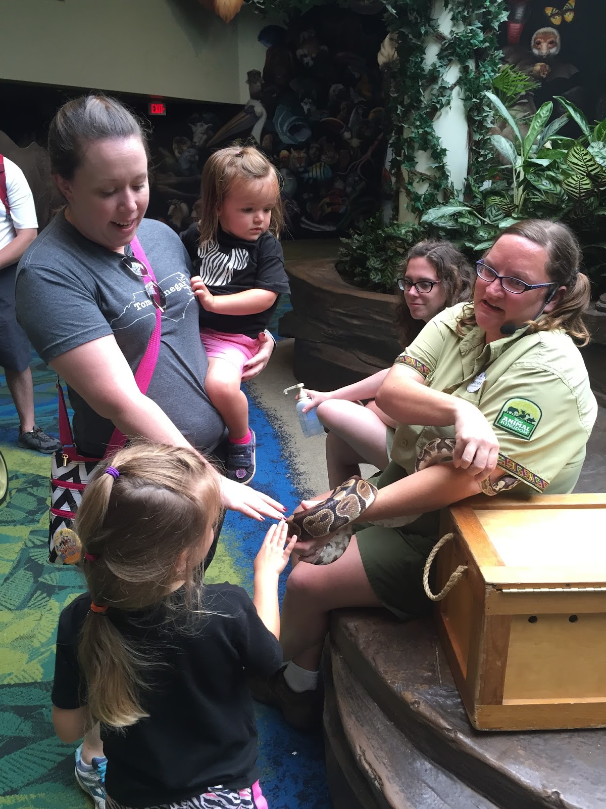 Just My 2 Cents: The Disney Itch- Top 5 Reasons I LOVE Disney World