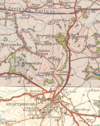 Public Transport Experience: Surprised by Superb Semley (1)