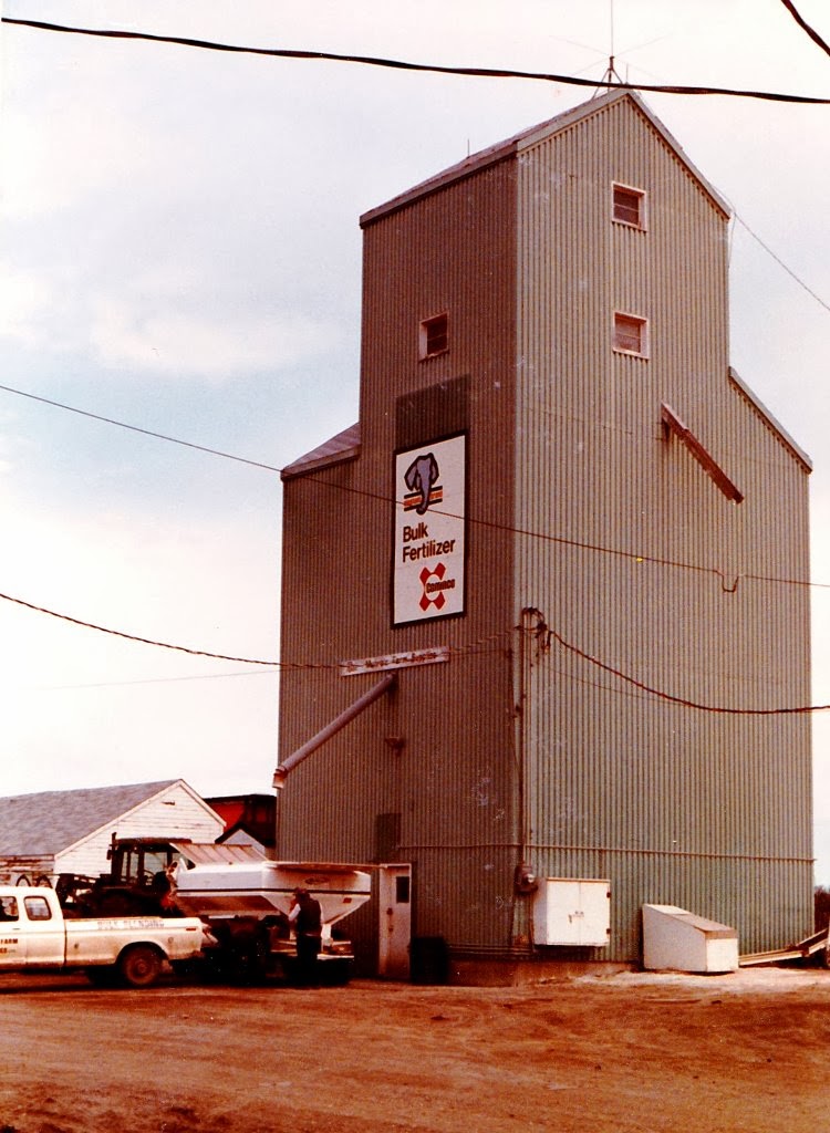 Trackside Treasure: Elephant Elevators