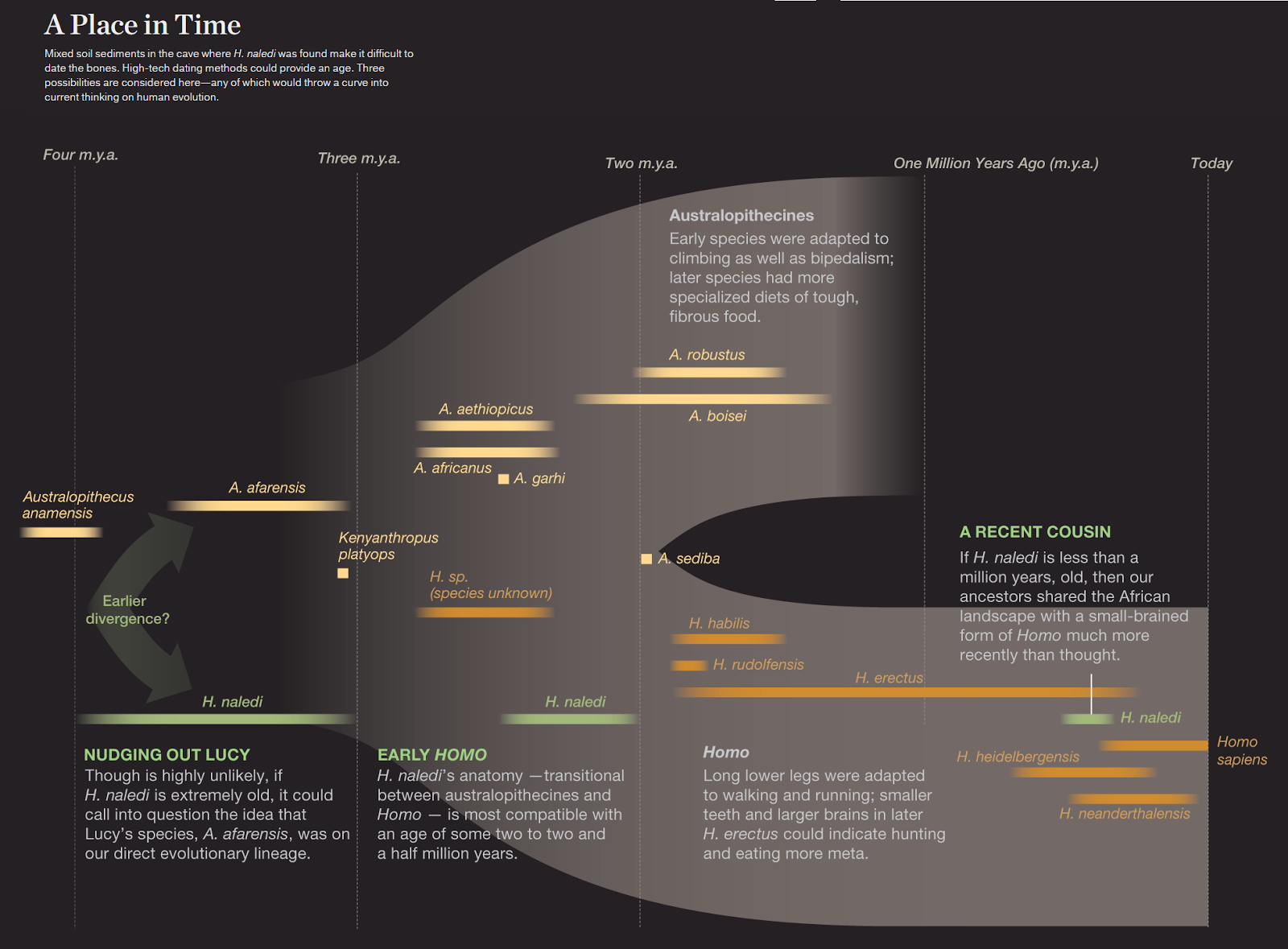 Species New to Science: [PaleoAnthropology • 2015] Homo naledi • A New ...