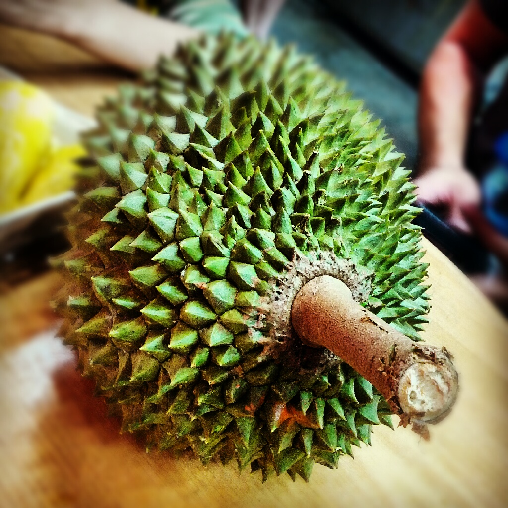 Hello.: Combat Durian Session