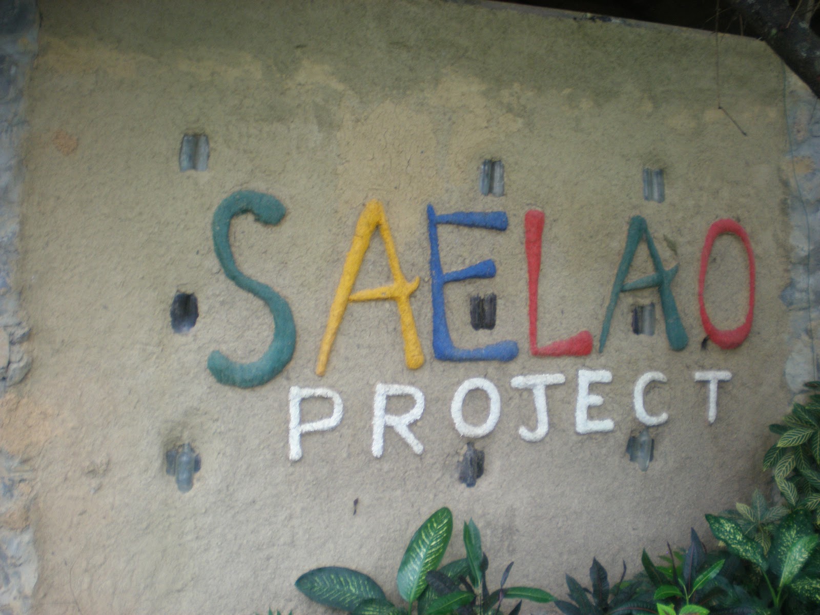 SAELAO: Bezahlen, um zu arbeiten?