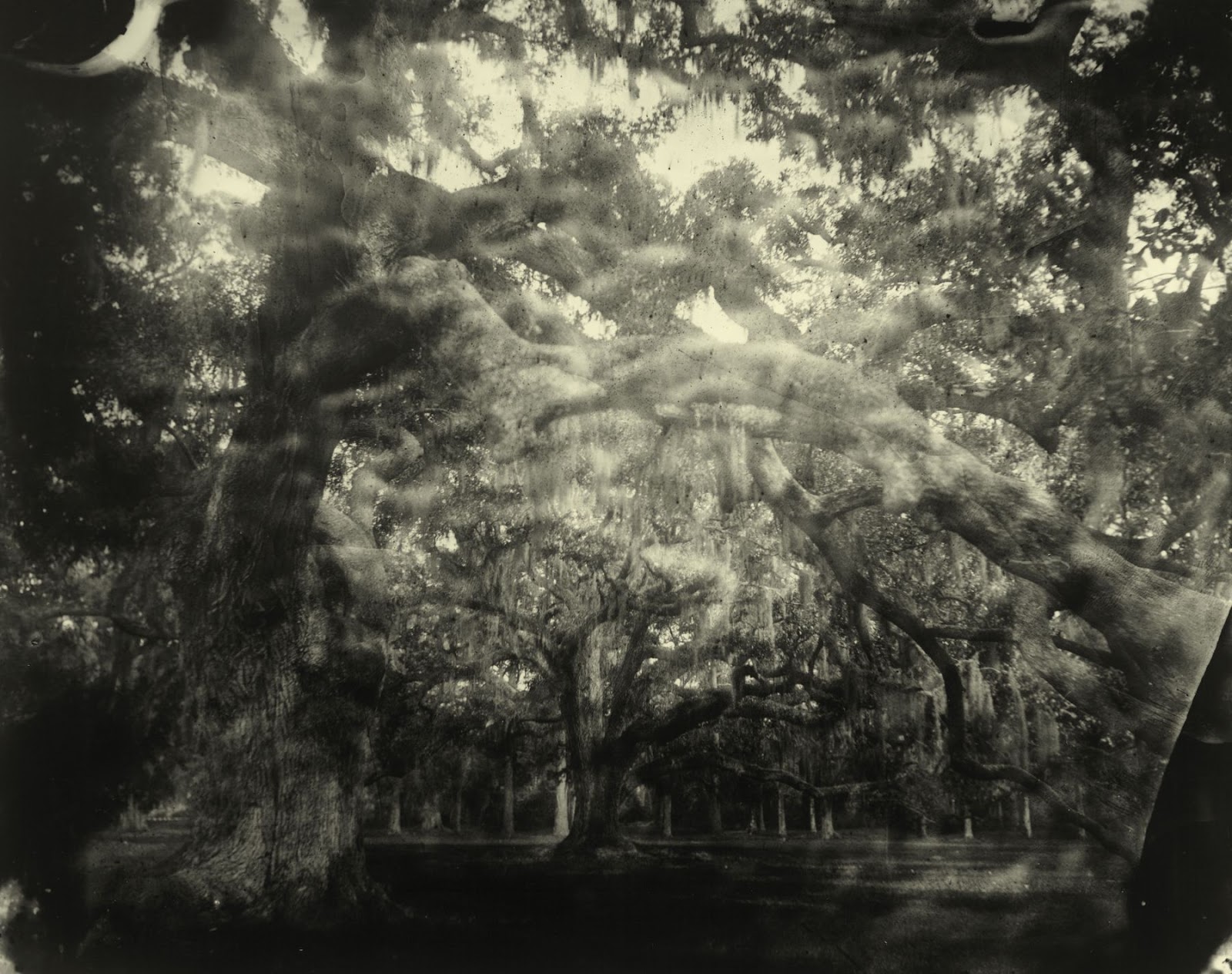 OLTRE IL MURO: ARTE e FOTOGRAFIA: SALLY MANN | PHOTOGRAPHER
