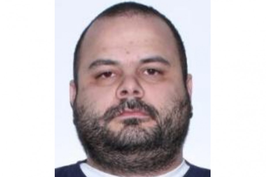 'Ndrangheta Clash in Toronto: When The Wolfpack Stood Up To Siderno