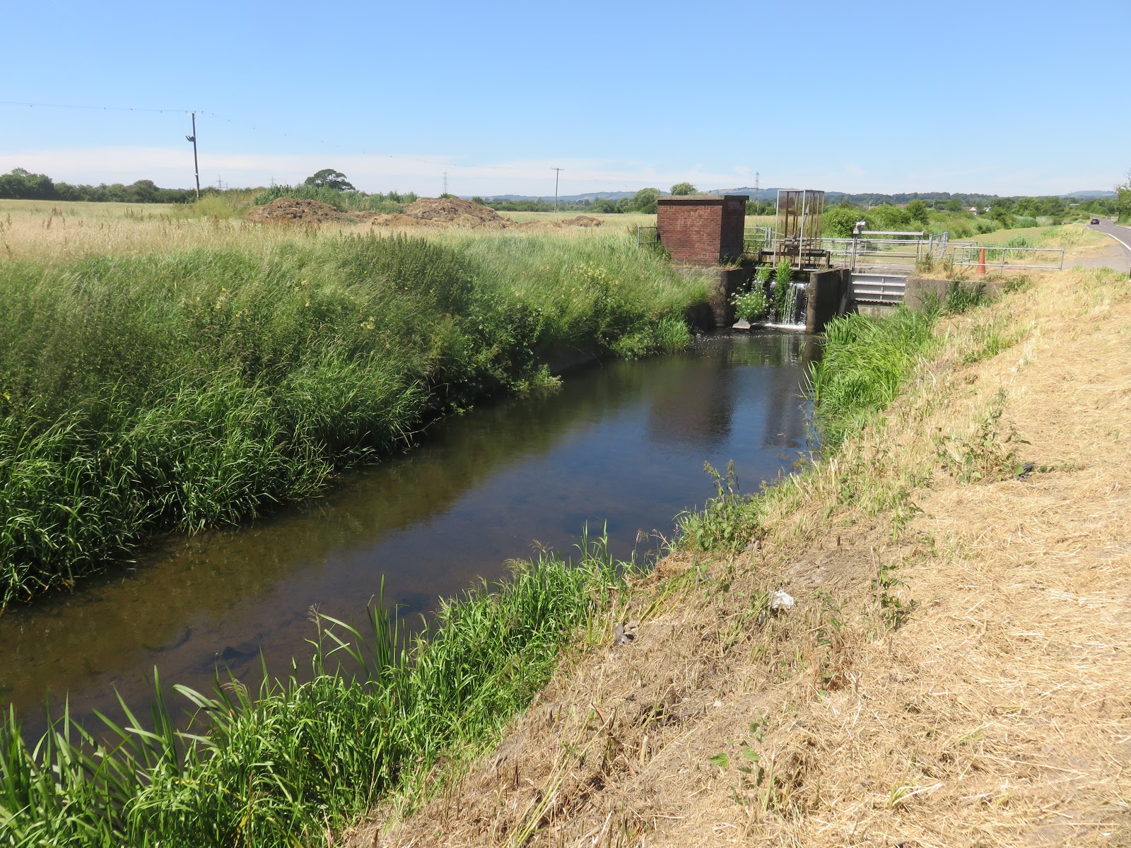Walking in the Wentloog Levels Where Wetlands Meet the Sea |The Green Bard