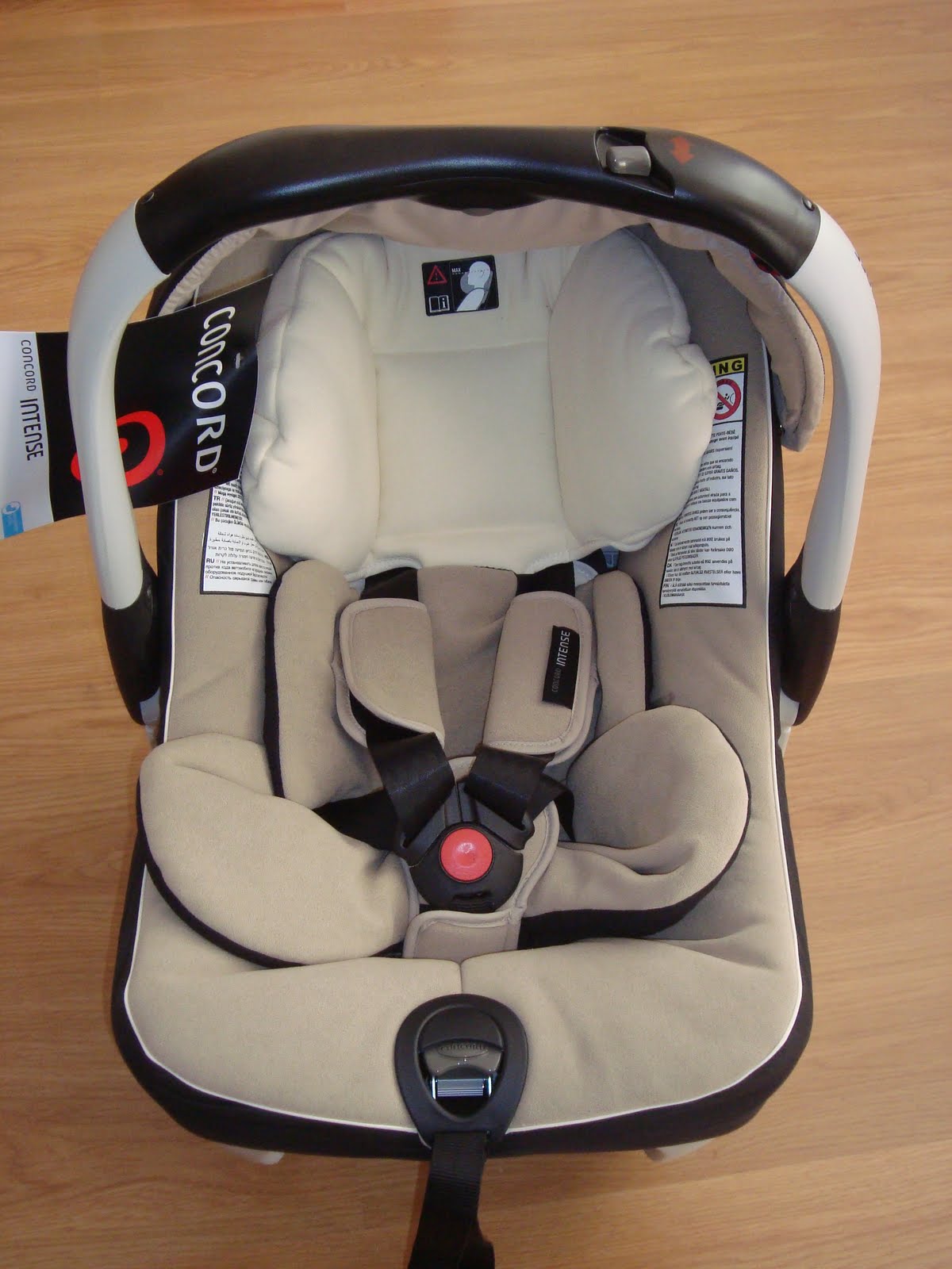 BERAL BABY: Concord Neo