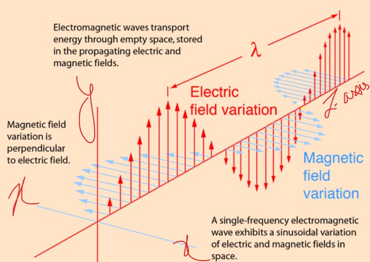 🎁Question 10-What is electromagnetic wave ? Draw a sketch of a plane e ...