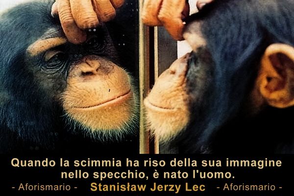 Foto Scimmie Divertenti