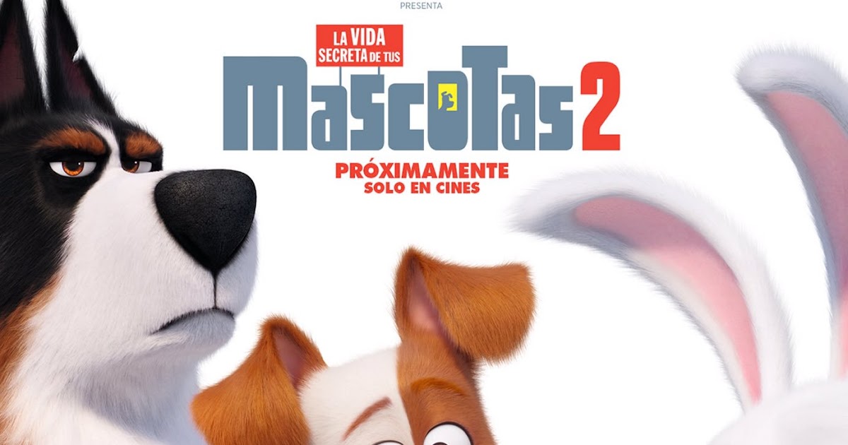 UNIVERSO DE SERIES : La Vida Secreta de Tus Mascotas 2 (2019) HD 1080p ...