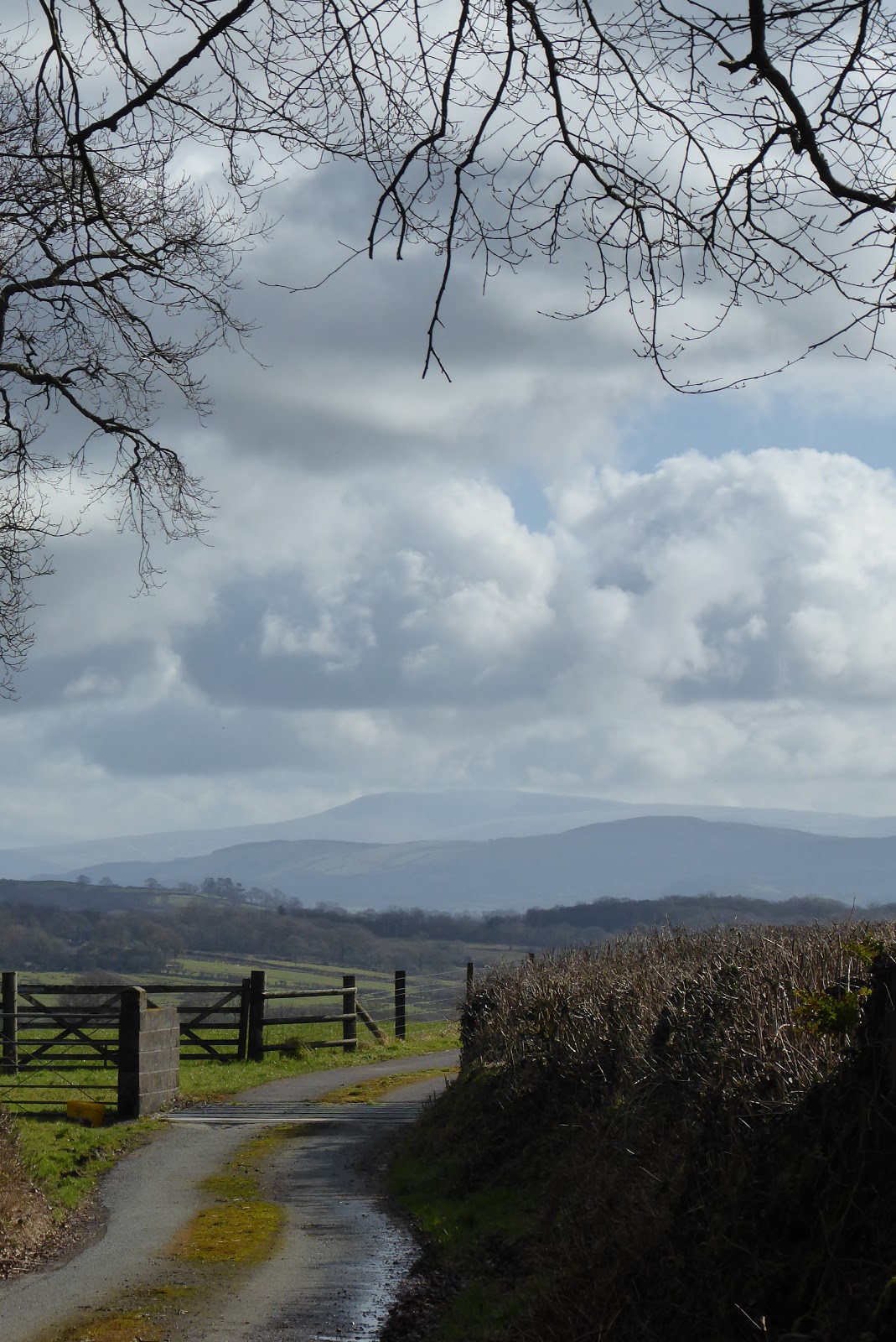 Codlinsandcream2: Pantglas Hall walk