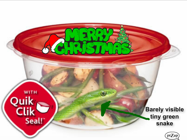 How To Gift Wrap A Snake