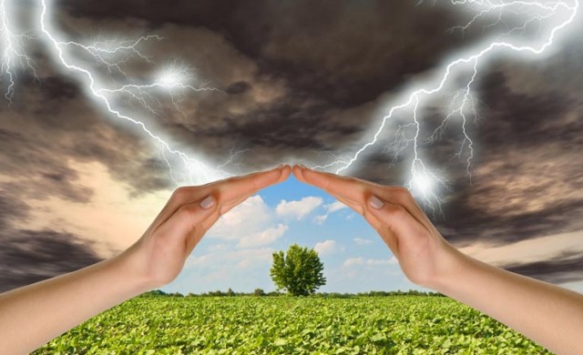 Scripture for Today: Psalm 91 ~ For He will deliver you from the snare ...