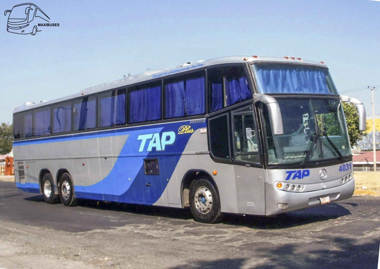 MAXIBUSES: TRANSPORTES Y AUTOBUSES DEL PACÍFICO, PLUS (TAP)