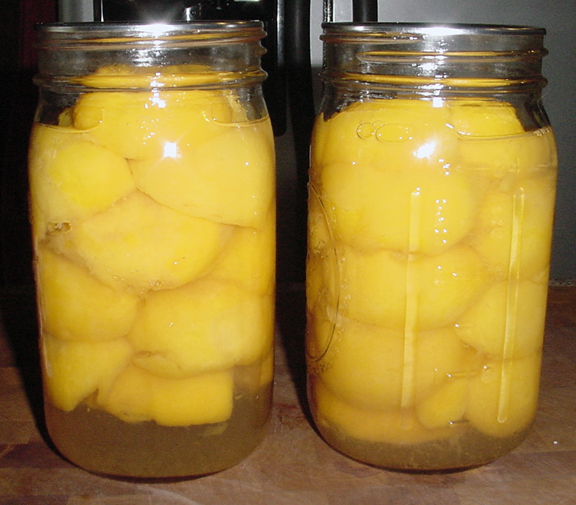 Eating Floyd...: Preserving Floyd: Peaches Part I: Dried and in Tea Syrup