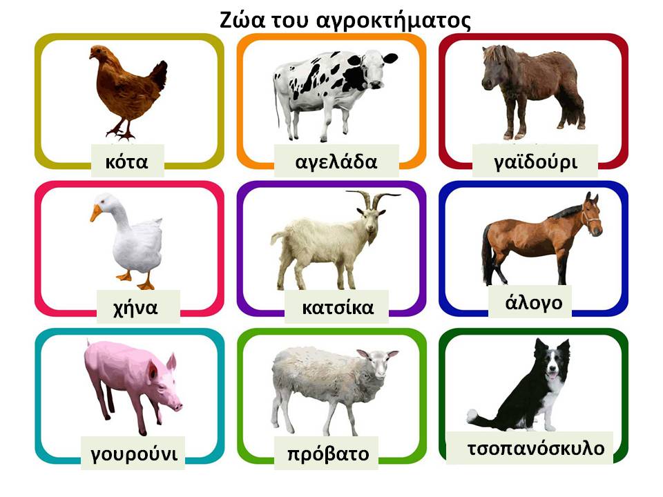 Δραστηριότητες, παιδαγωγικό και εποπτικό υλικό για το Νηπιαγωγείο & το ...
