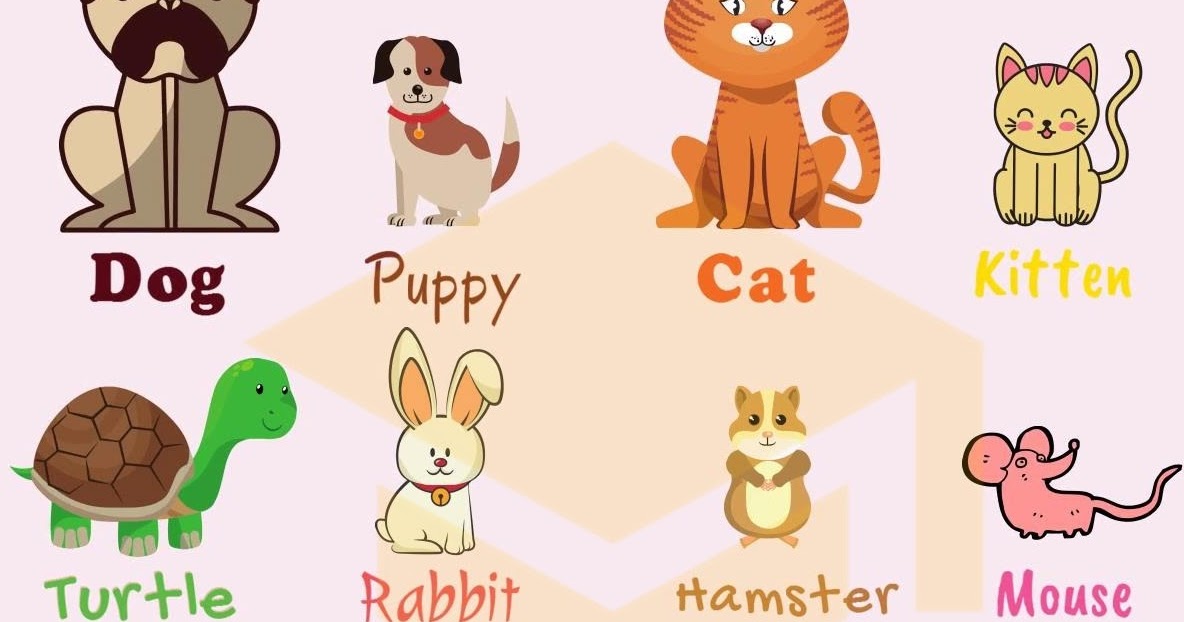 The English Blog: 2nd GRADE (PETS)