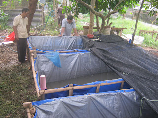 pusatleledepok: Pusat Peternakan Ikan Lele "ENTONG CIHERANG"
