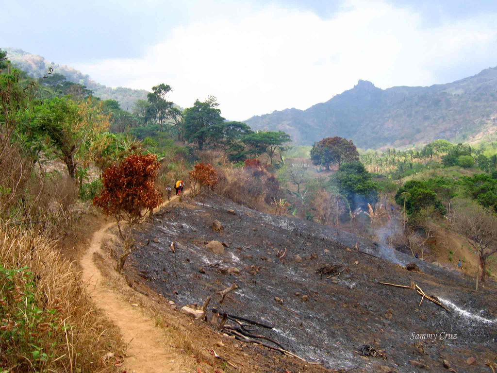 kaingin - philippin news collections