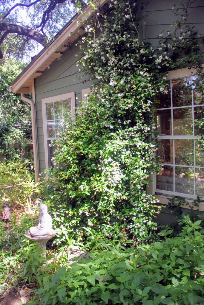 Rock-Oak-Deer: Inside Austin Gardens Tour Preview