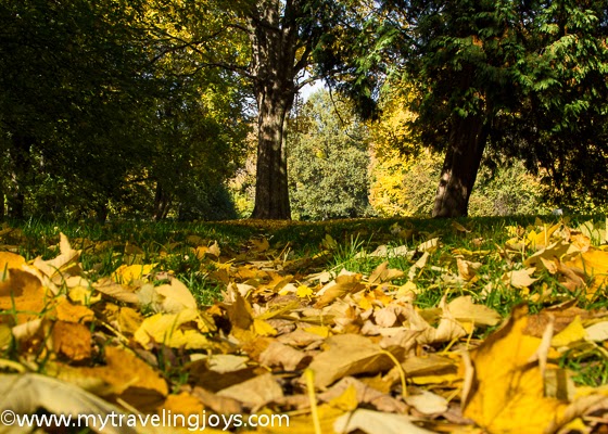 10 Fabulous Fall Photos Around Warsaw | LOST TRAVELER