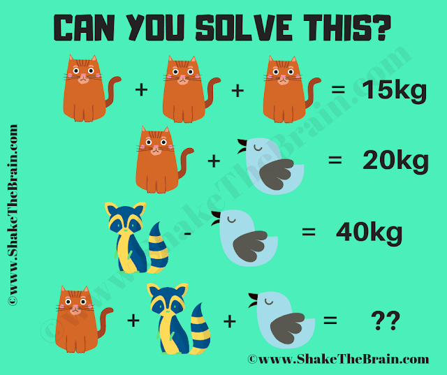 Maths Picture Brain Teaser: Algebra Puzzle for Students