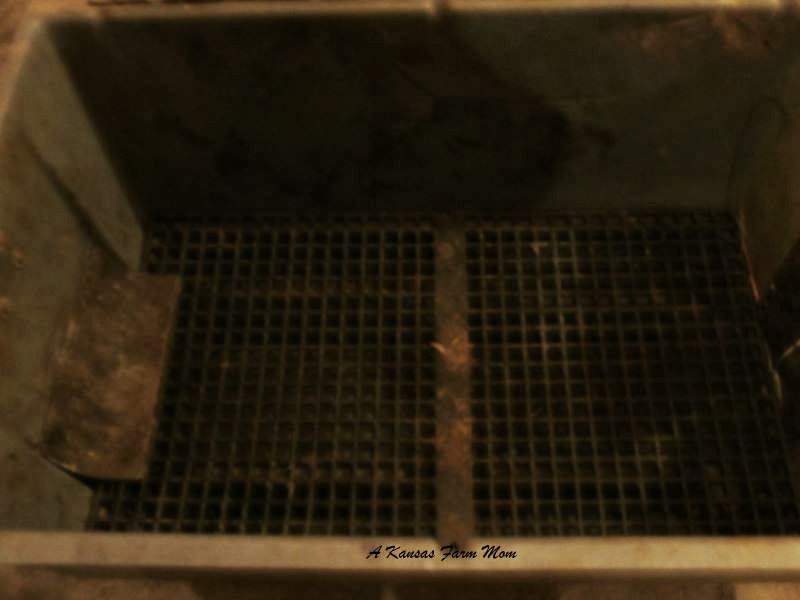 Tales of a Kansas Farm Mom: Warming Baby Calves