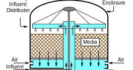 Environmental Engineering: Trickling filter
