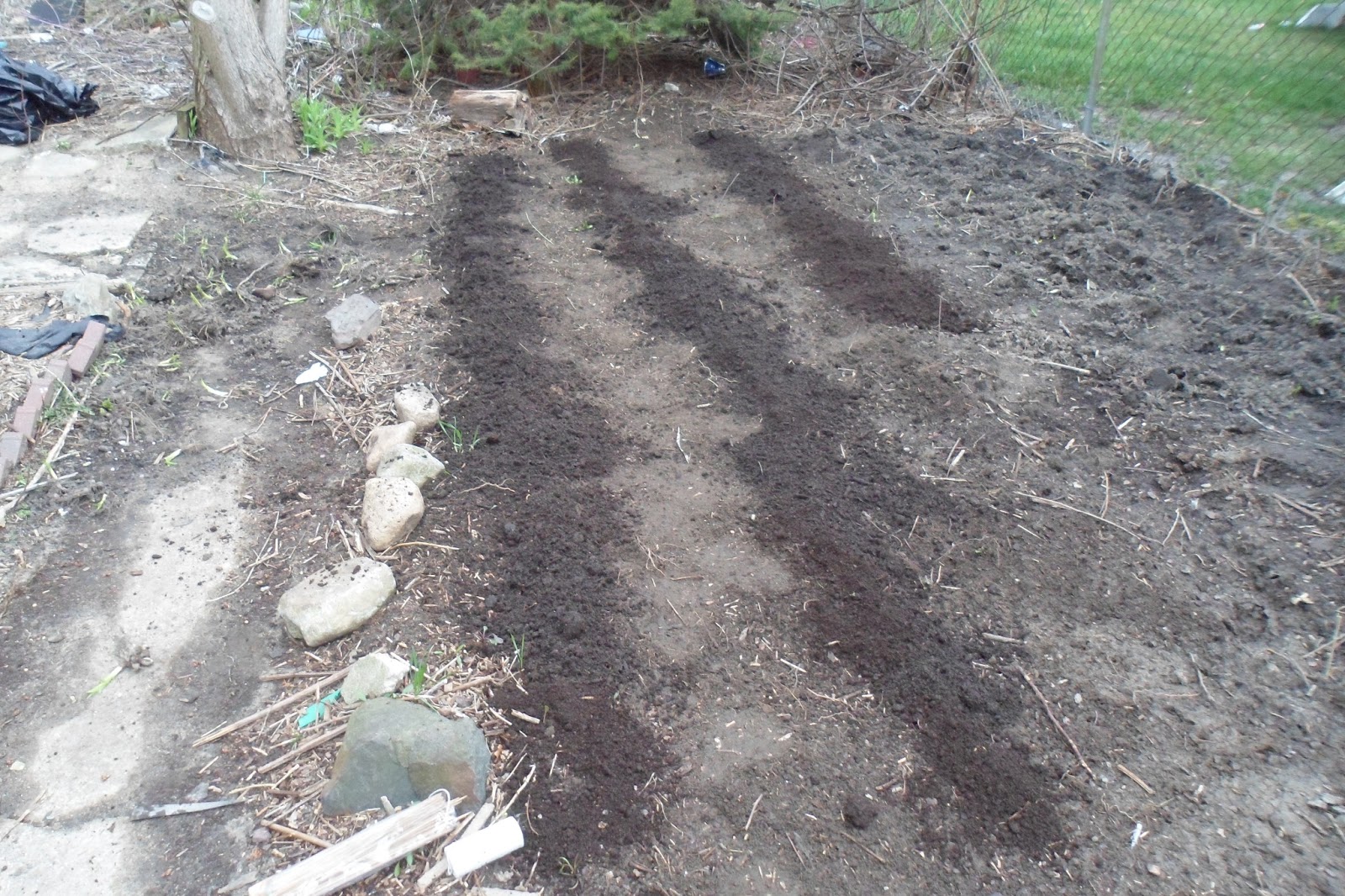 The Perennial Agriculturalist: potato patch 2013
