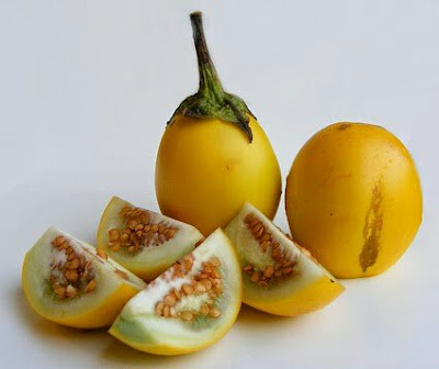 Tiba Na Kinga Asilia Za Maradhi Mbalimbali Ya Kuku.