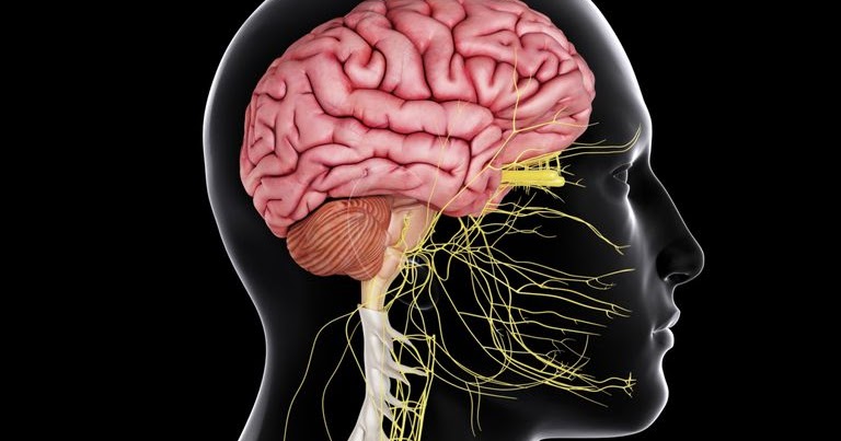 Laxmi Homeo Clinic: Paresis and Paralysis treatment and remedies